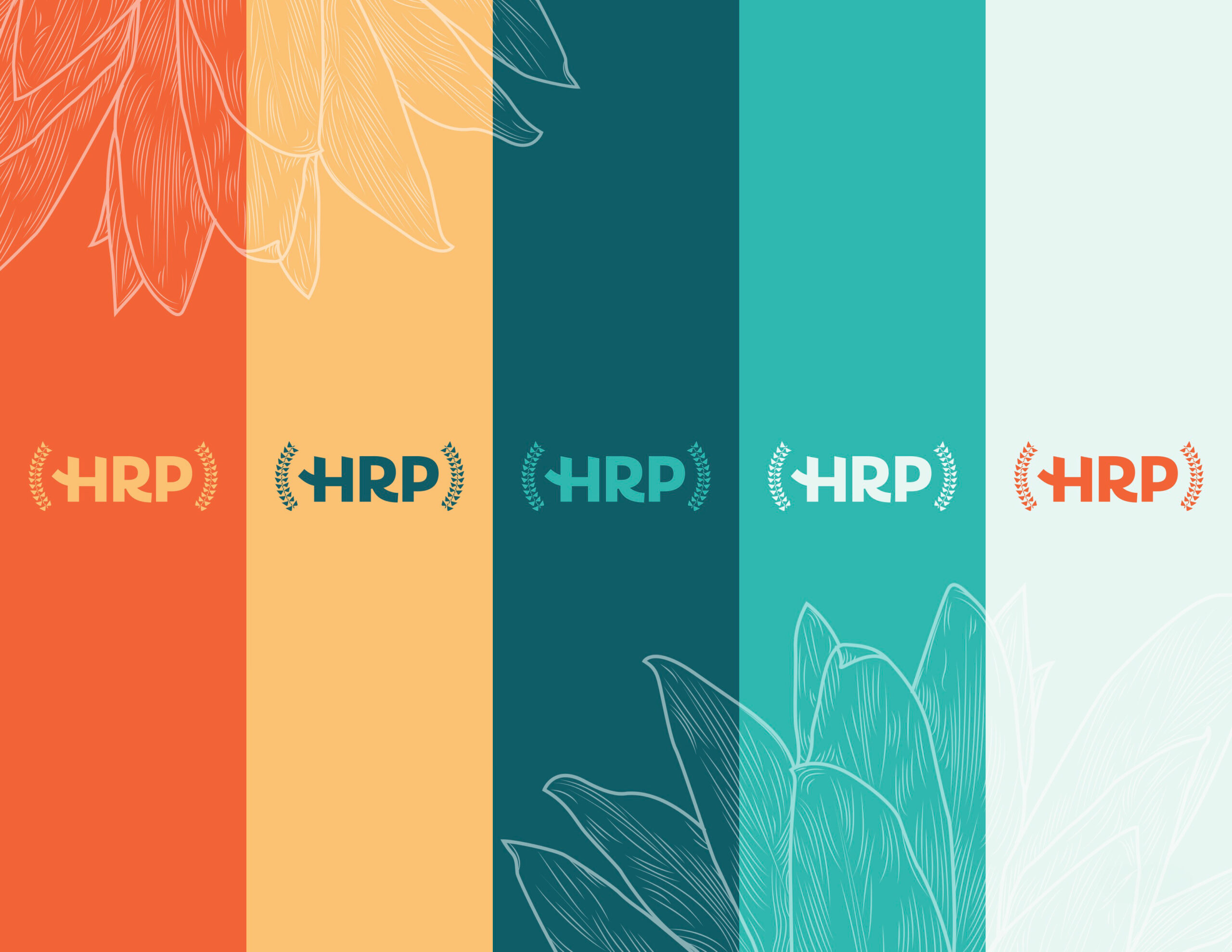 Hawaii Residency Programs - Lifted Creative Studio